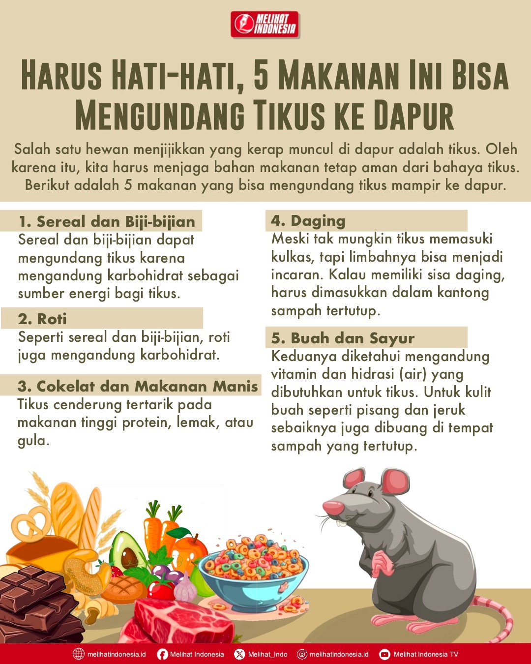 Simpan yang Benar, 5 Makanan Ini Bisa Mengundang Tikus ke Dapur ...